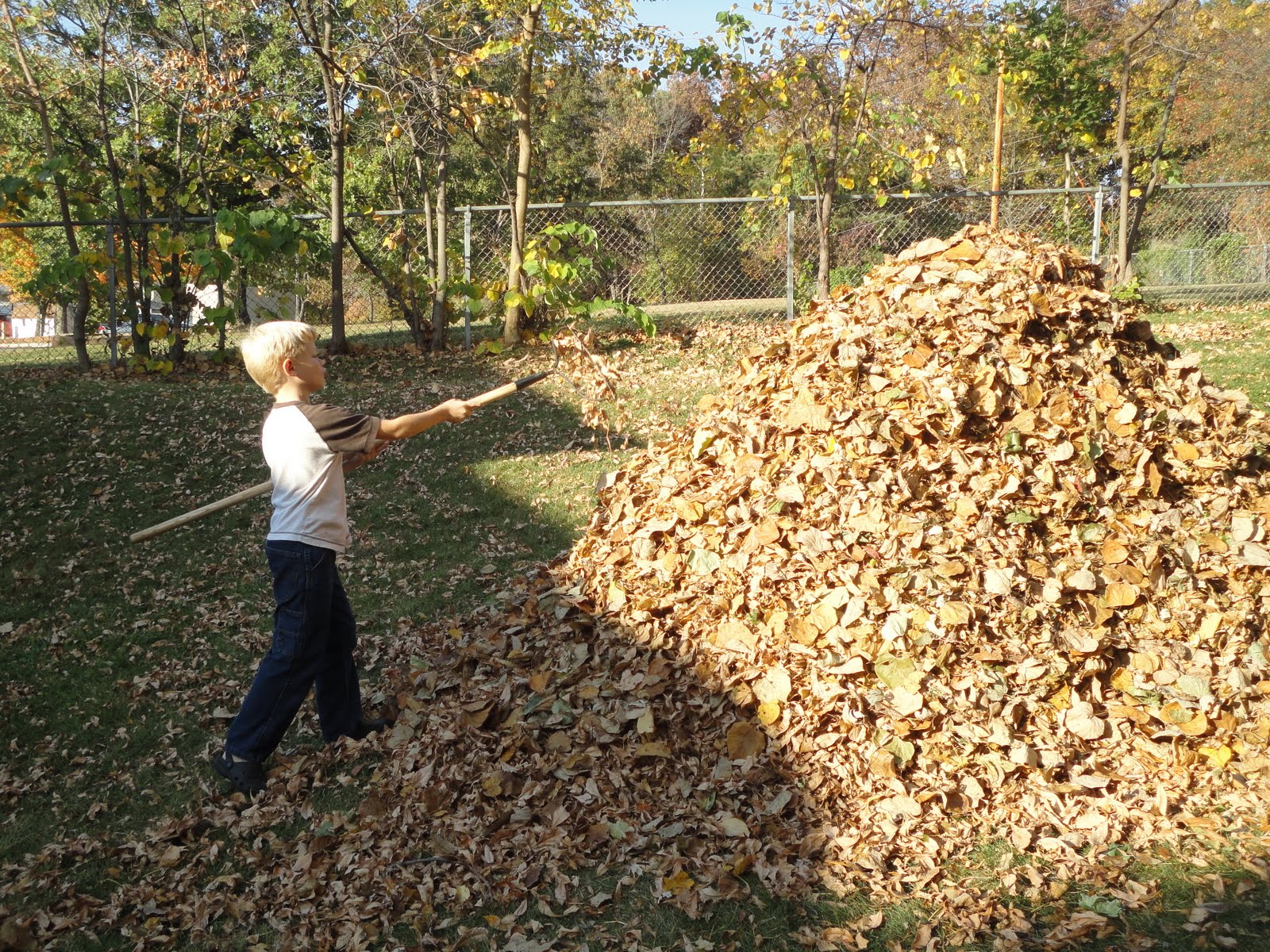The Katherine Wheel: Leaf Pile