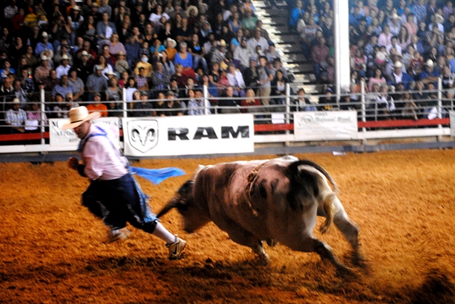 Rodeo Redemption: Bullfighters, Barrel Men, Clowns: Differences and ...