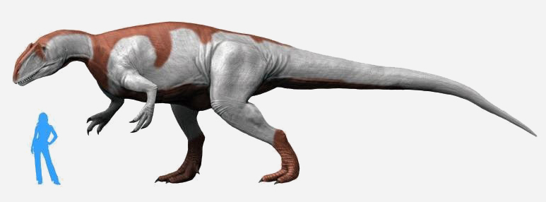 Info Hewan Tumbuhan Prasejarah: Yangchuanosaurus, sang raja Jurassic ...