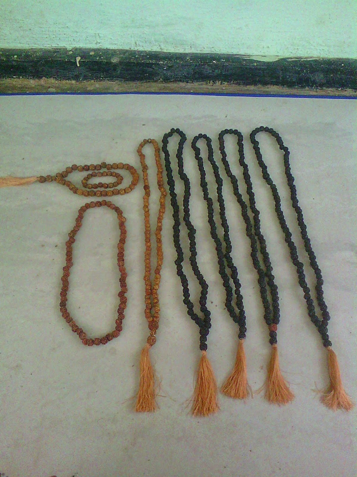 Rudraksha Cilacap: Pengolahan Biji Jenitri (Elaeocarpus ganitrus)