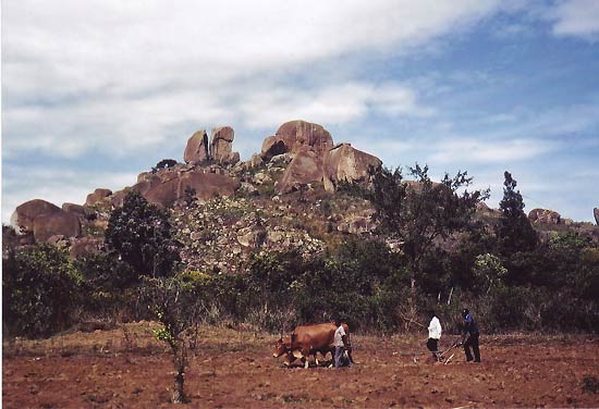 Beautiful Sceneries of Kenyan Republic: THE BEAUTY OF KAKAMEGA TOWN IN ...