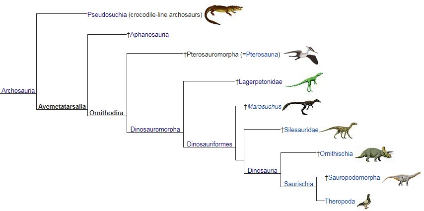 The Pondering Gulch: Et Tunc Nulla Erat VII