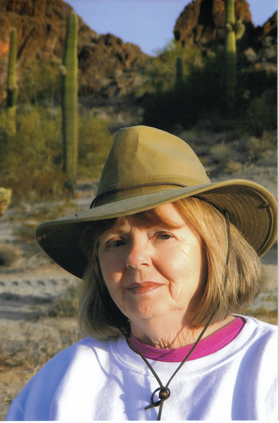 The Fiction Files: And Here It Is! Cover Reveal for DESERT RAGE by ...