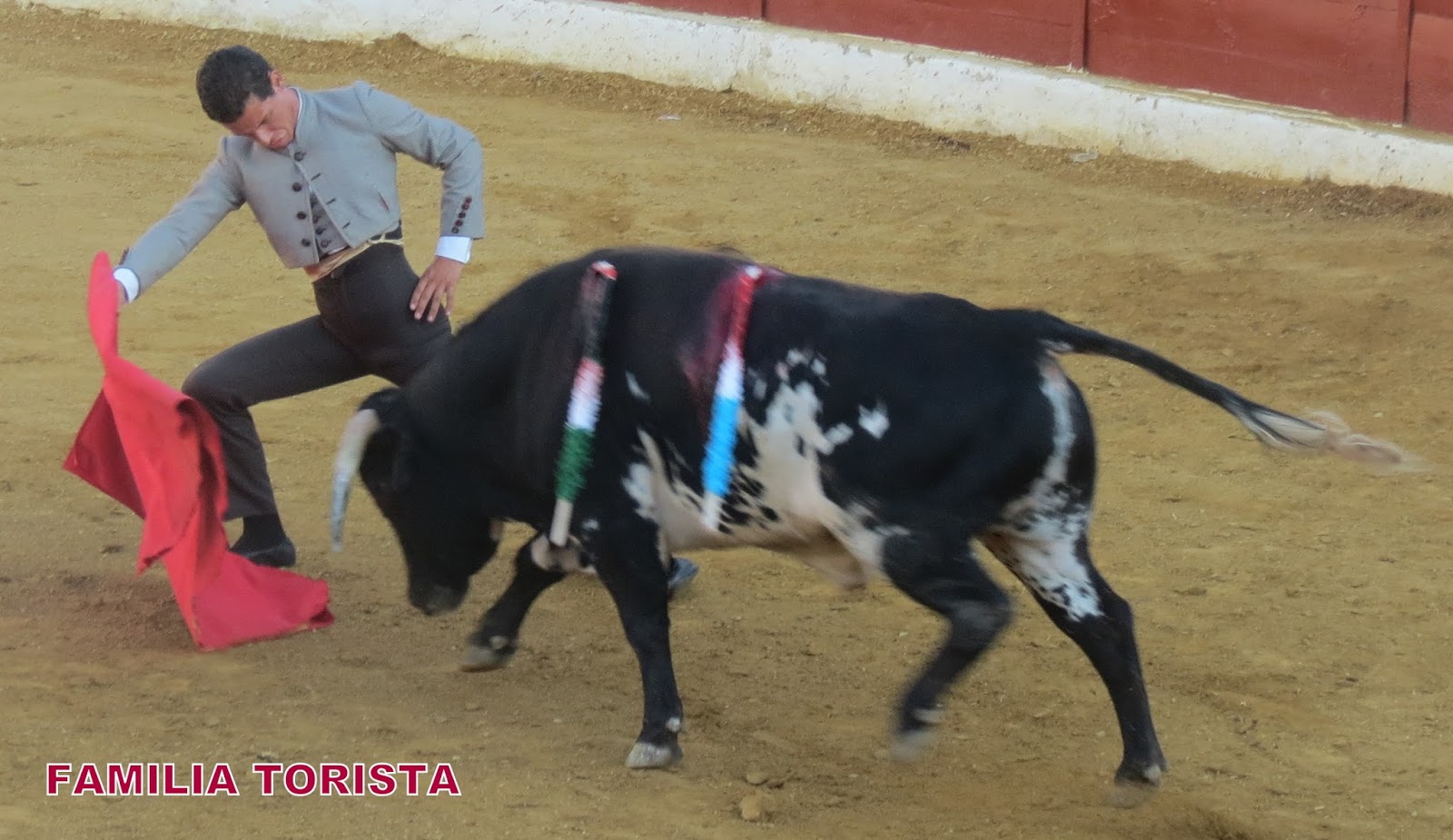 TOROS DEL CONDADO S.L: LOS NOVILLEROS, JOSÉ IGNACIO RODRÍGUEZ Y JIMÉNEZ ...