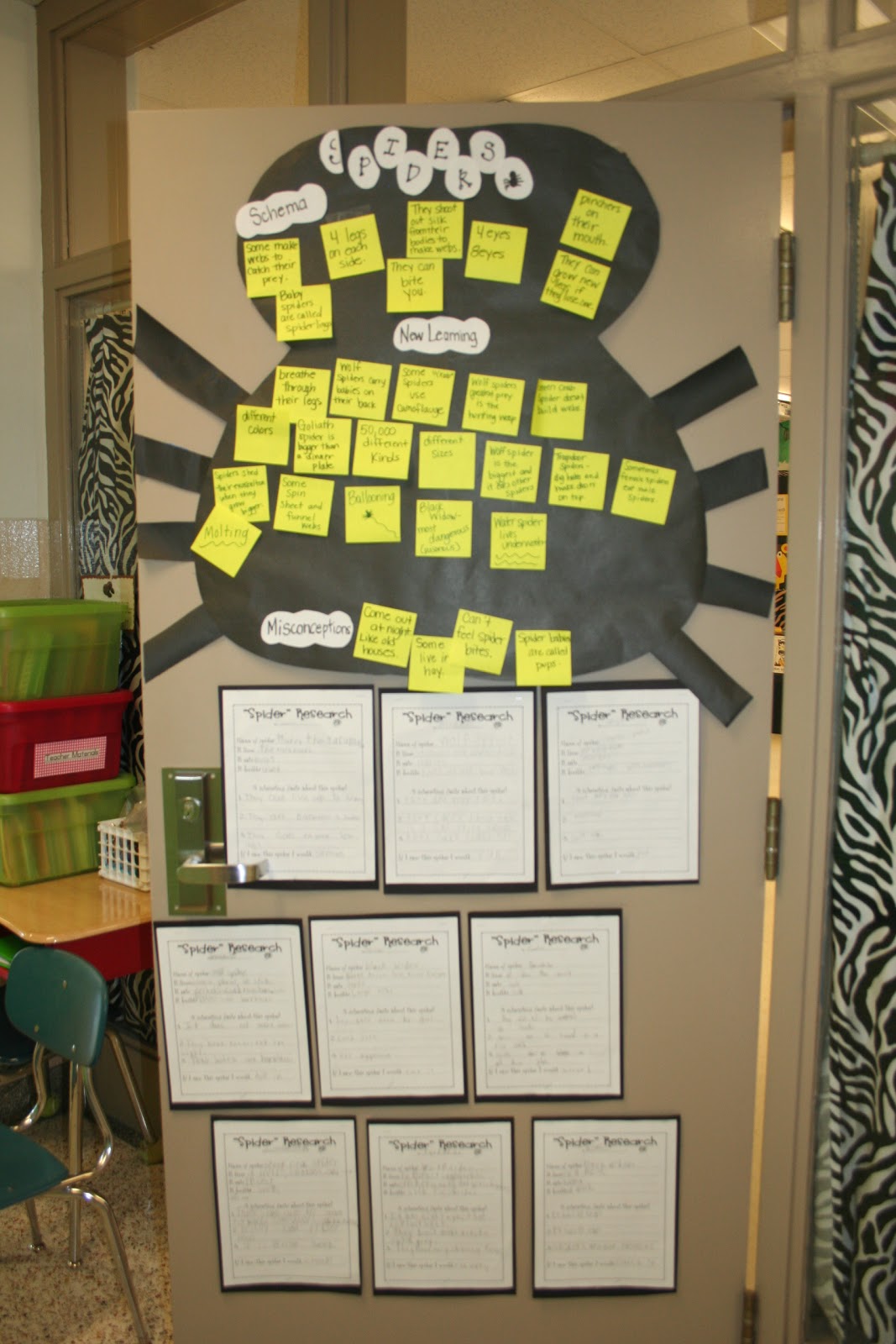 Spiders - Megan Mitchell