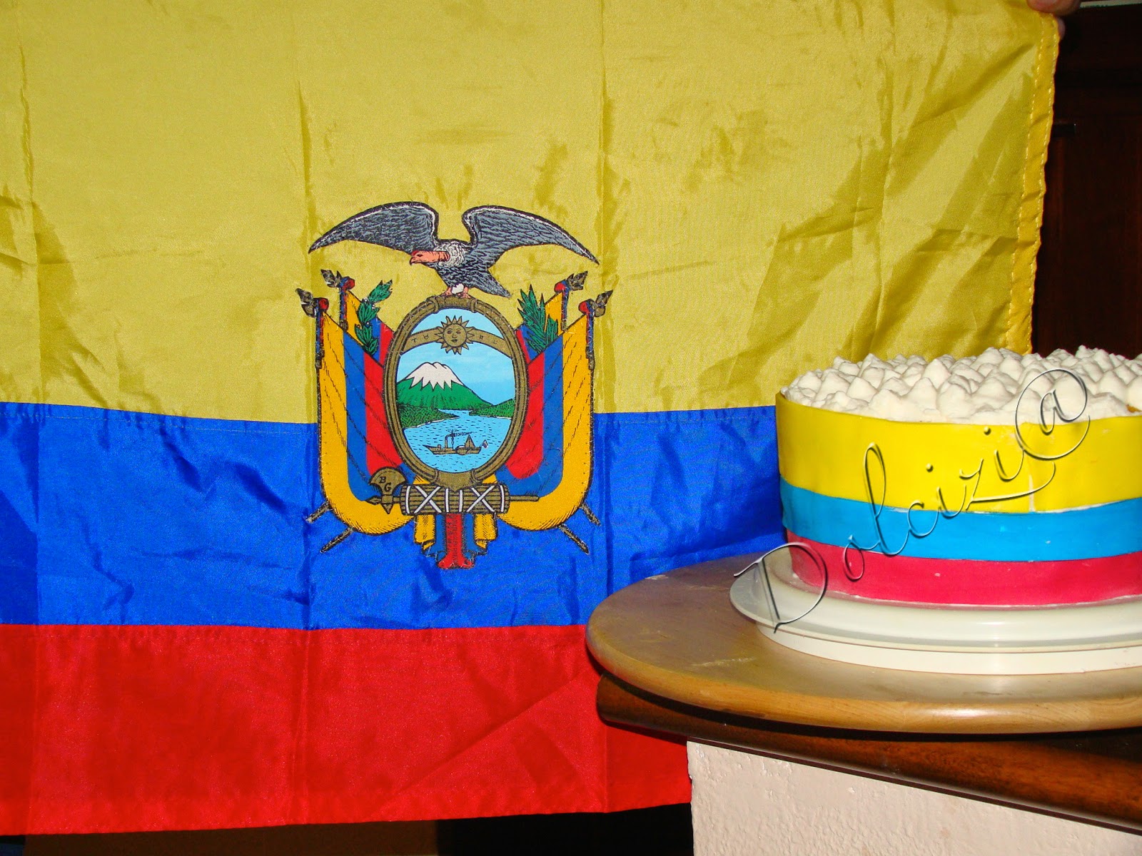 Torta bandiera dell'Ecuador da Dolcizi@ su Akkiapparicette
