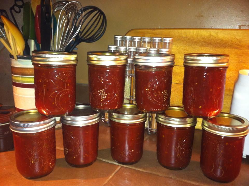 City Girl, Country Life: Canning Cookbook- In a bit of a jam!!