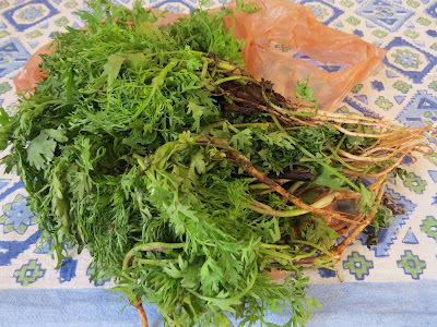 With Love from Mom's Kitchen: How to Increase The Shelf Life Of Fresh ...