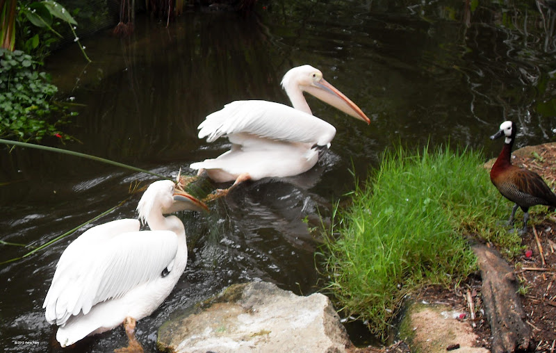 Let's holiday!: February 2012