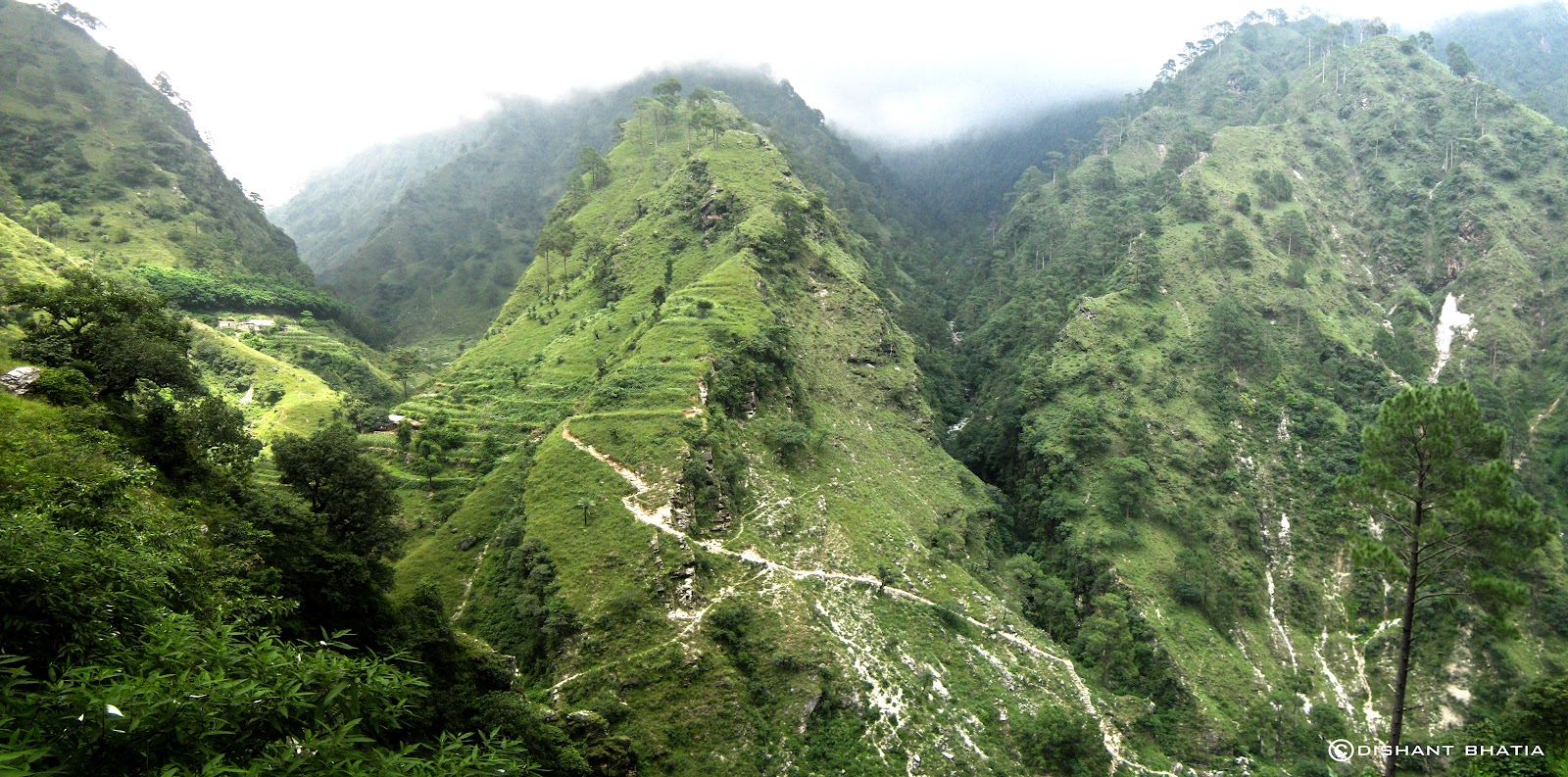 Panwadi Tales: Trek to Devi Pindi - A Photoblog