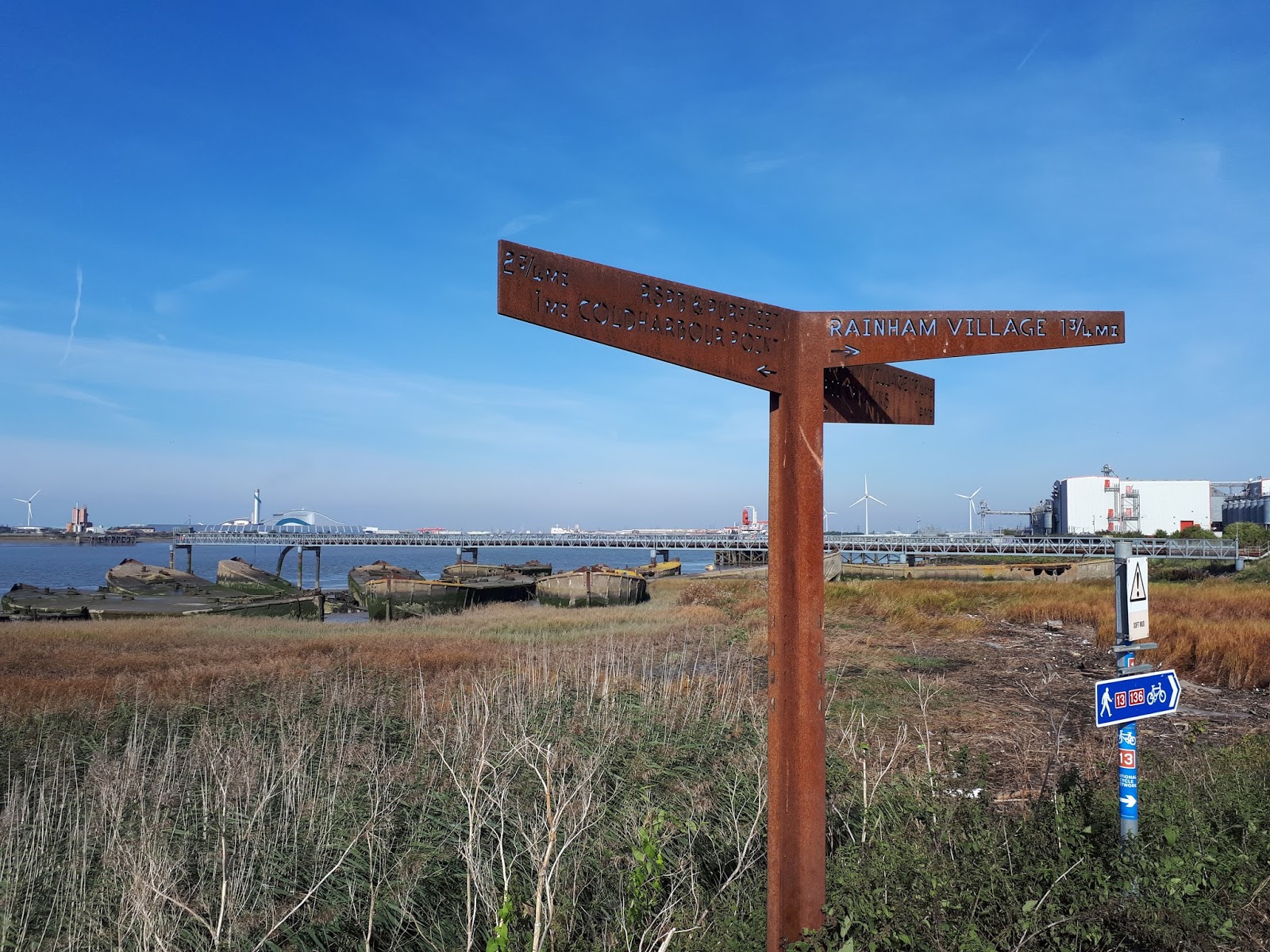 Rainham Marshes / Roding Valley - Red-necked Grebe