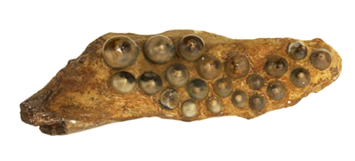 Hypnogoria: FOLKLORE ON FRIDAY - The Toad Stone