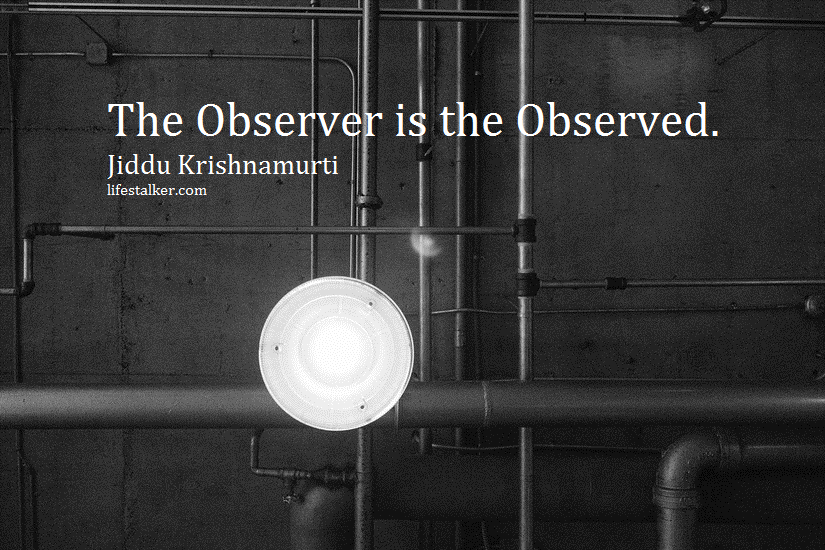 Observer Versus Observed: The Observer is the Observed