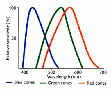Eye Opener: Physiology - Colour vision