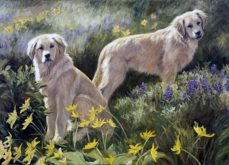 Lucie Bilodeau, 1967 | Wildlife painter | Tutt'Art@ | Pittura ...