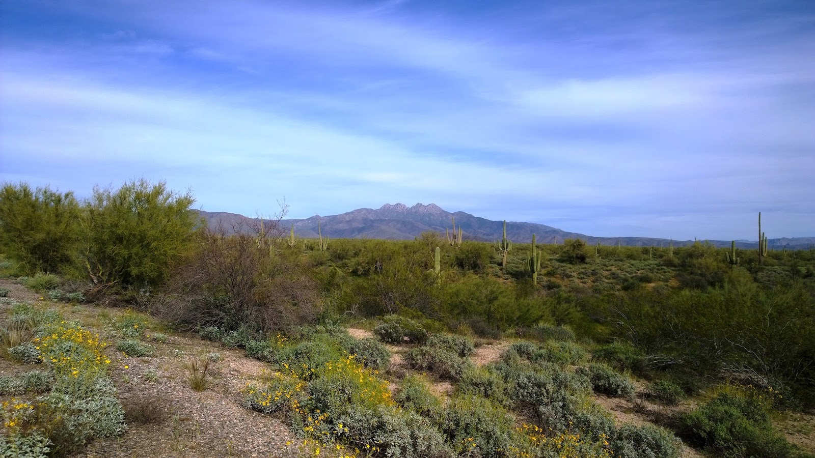 The Crazy Bear Chronicles: Arizona Motorcycle Tours -- Tonto Basin
