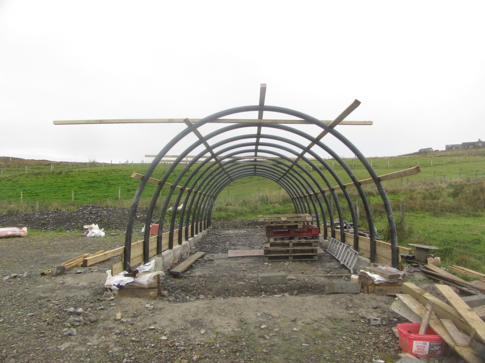 Us in Orkney: Polycrub Part3 : purlin'd