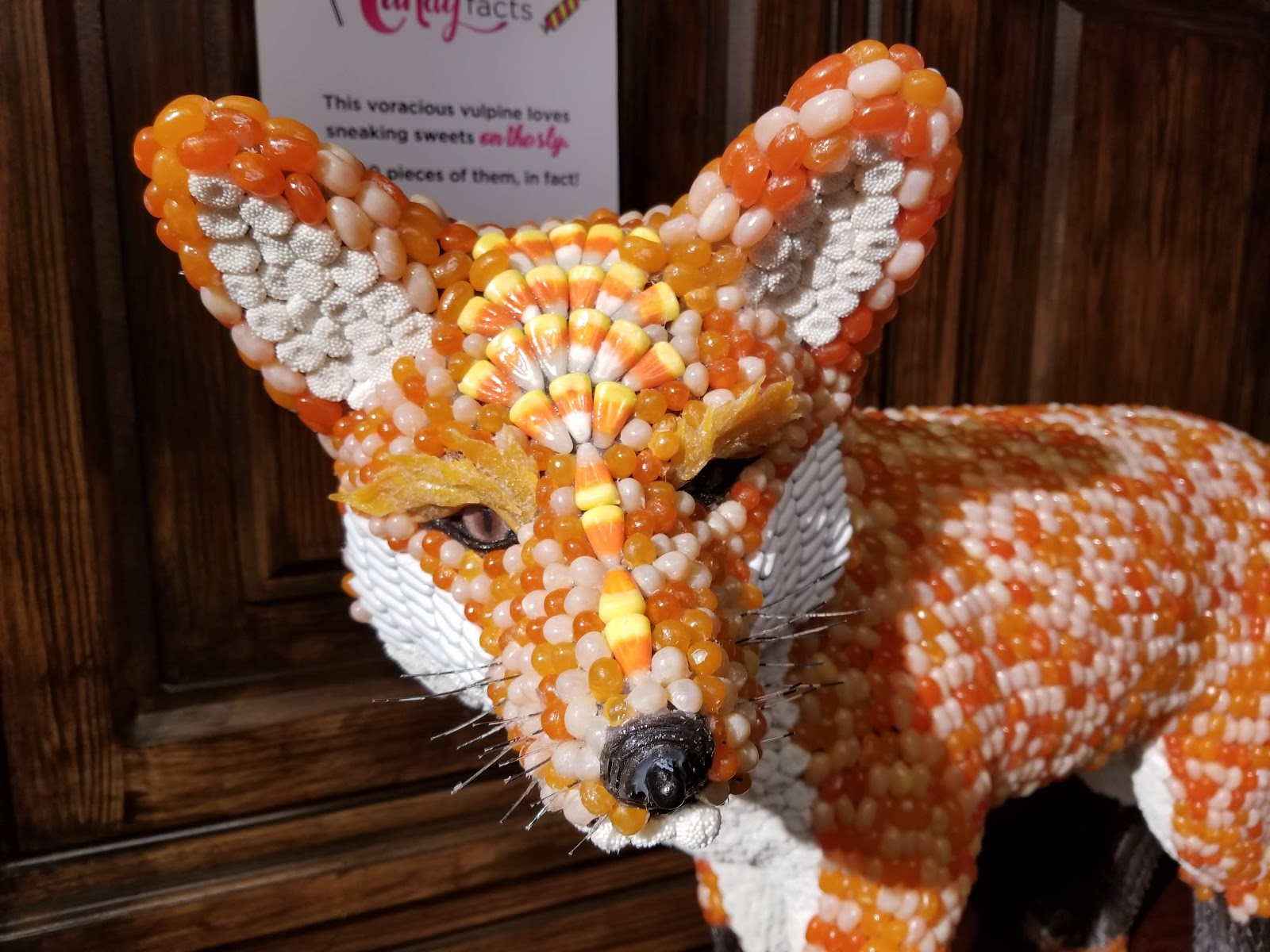 CAKE BUNNY: Candytopia