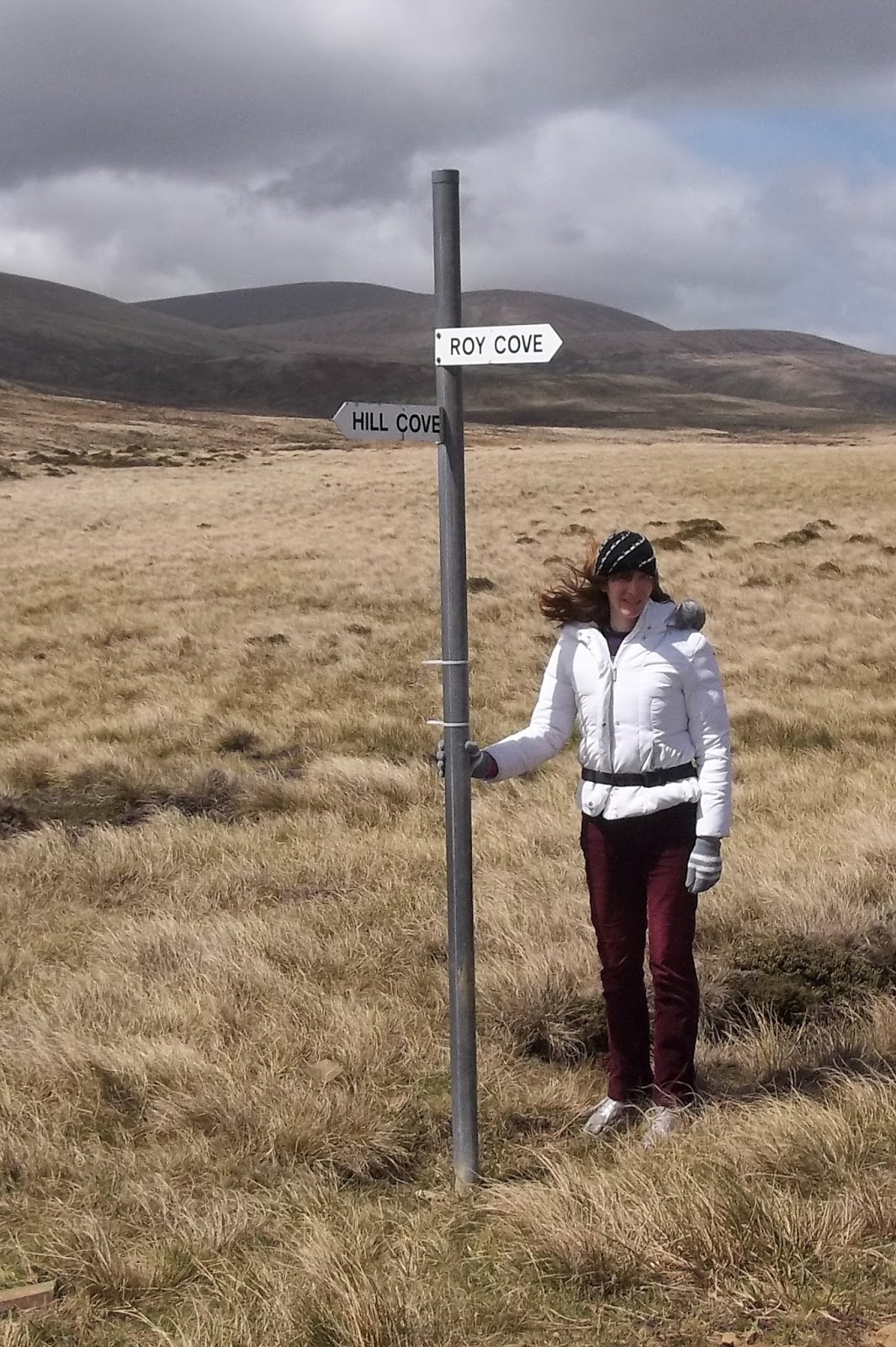 Sandra's world travels: Falkland Islands and Chile - November 2013