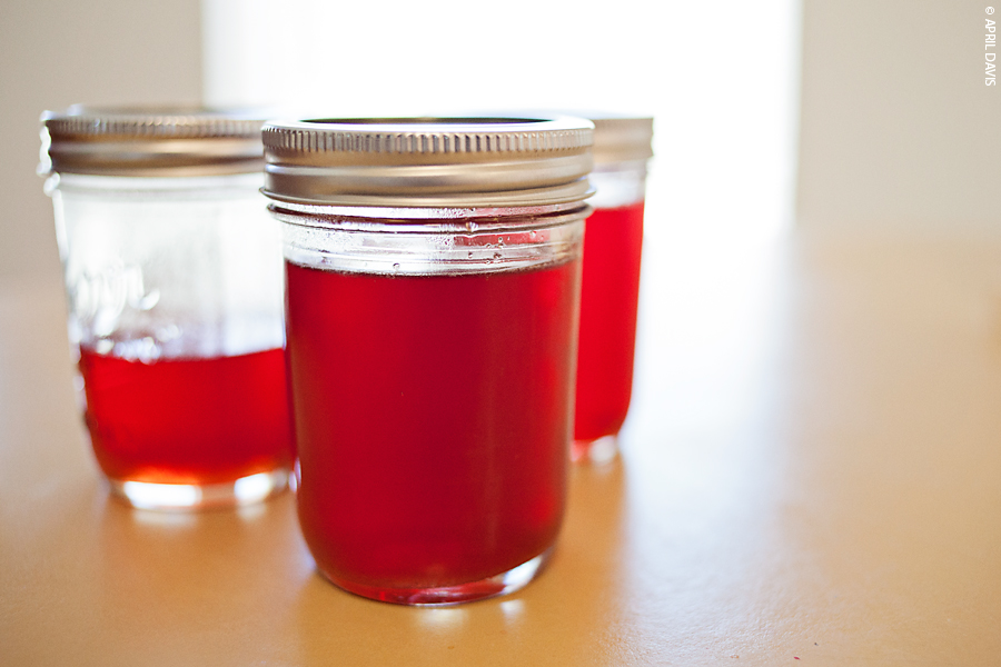 HOW TO MAKE PRICKLY PEAR FREEZER JELLY – A Day in April