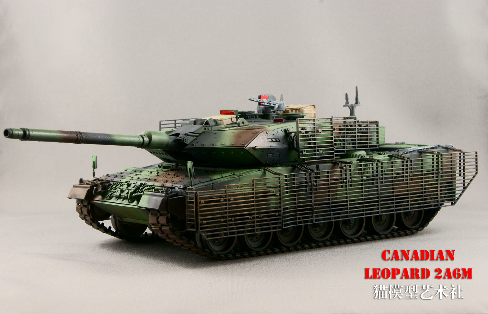 Alex's Model: Canadian Leopard 2a6m