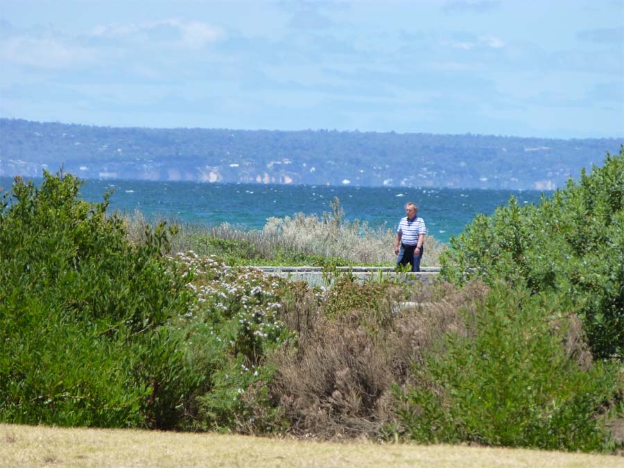 ANYTHING BUT HUMAN: MORDIALLOC BEACH TODAY