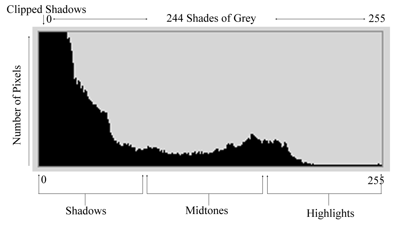 School Of Digital Photography: Understanding Histograms