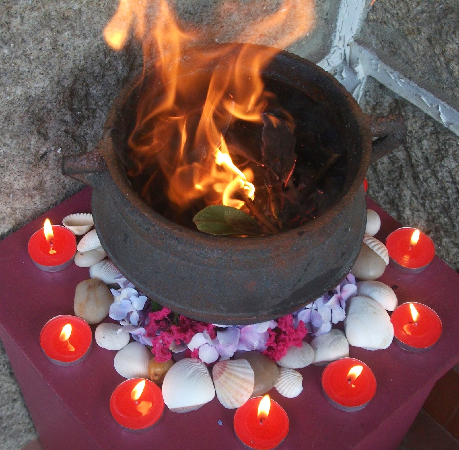 Los hechizos de Ayla: El Caldero