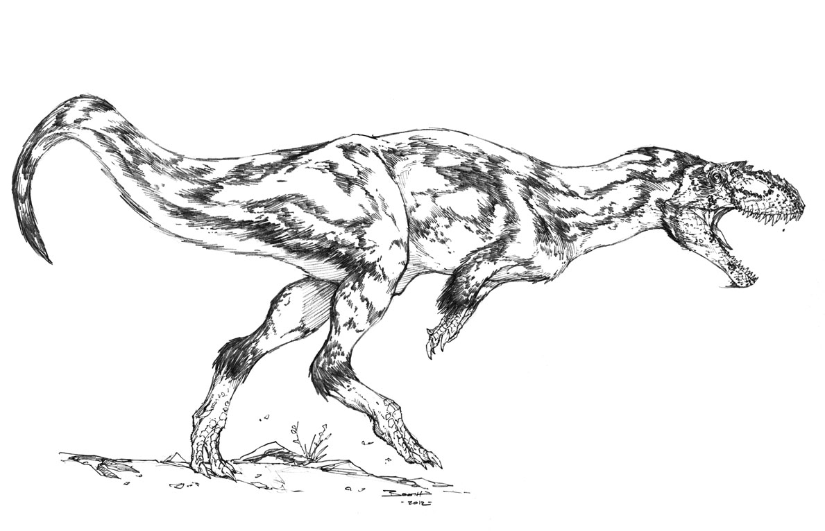 Albertosaurus Coloring Pages Coloring Coloring Pages