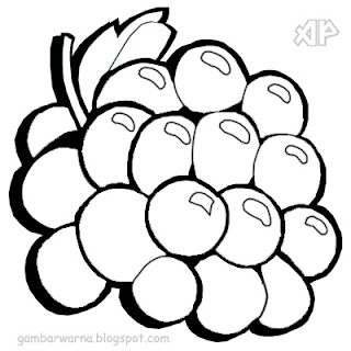 Mewarnai Buah Anggur
