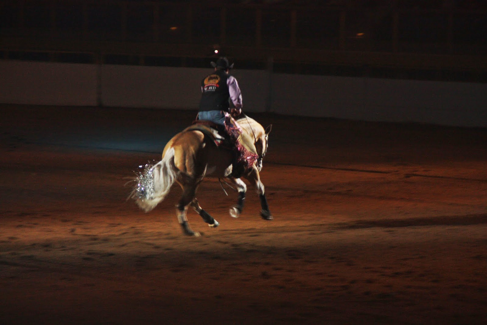 Bits and Spurs: 2015 RAM Invitational Freestyle Reining
