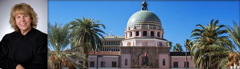 Committee to Re-elect Judge Anne Segal: Mind the Mud