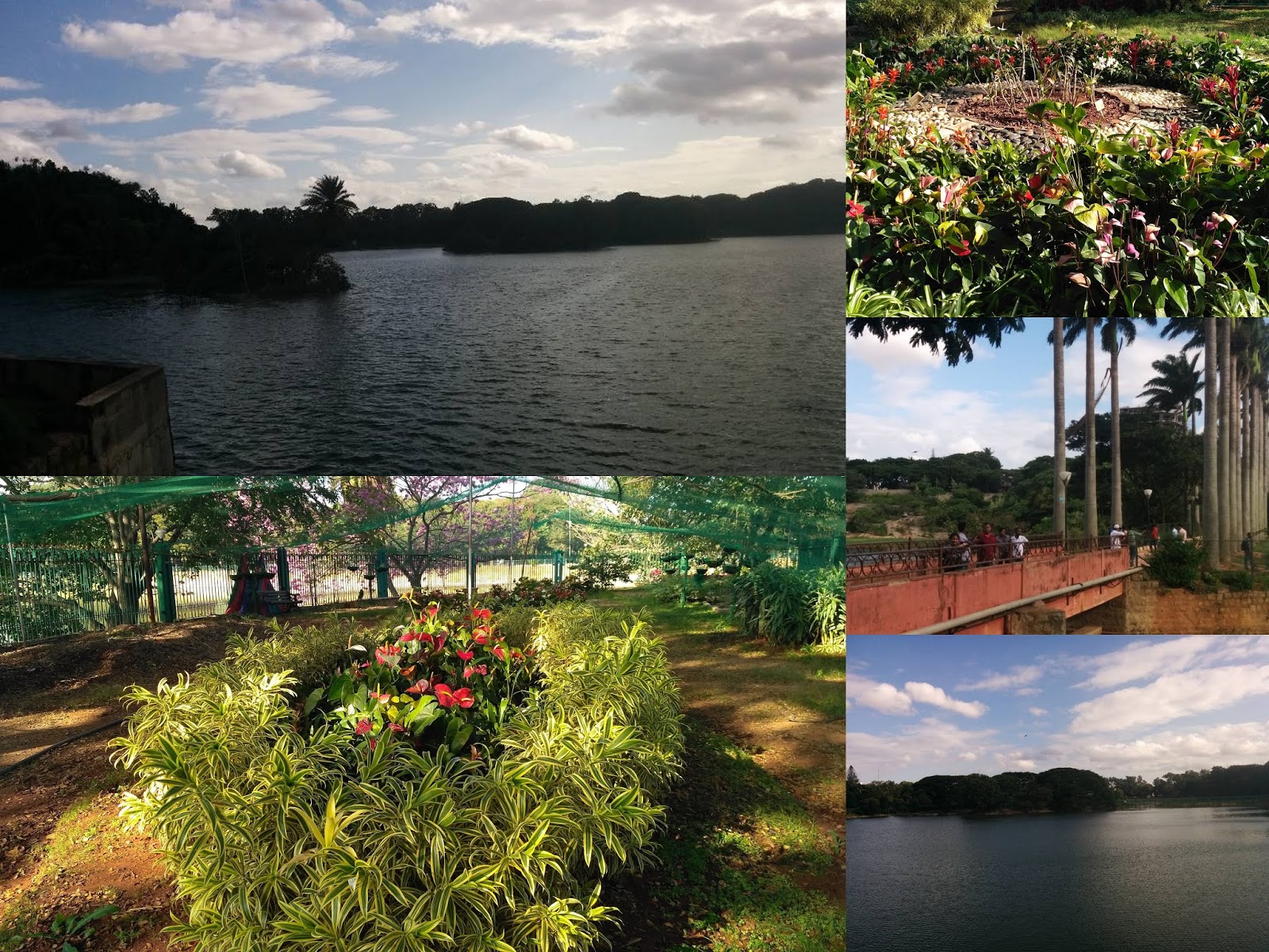 Live LIFE...with experiences..: 2018