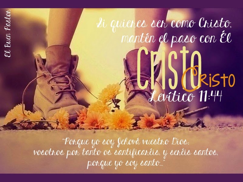 YO SOY EL BUEN PASTOR: Levítico 11:44