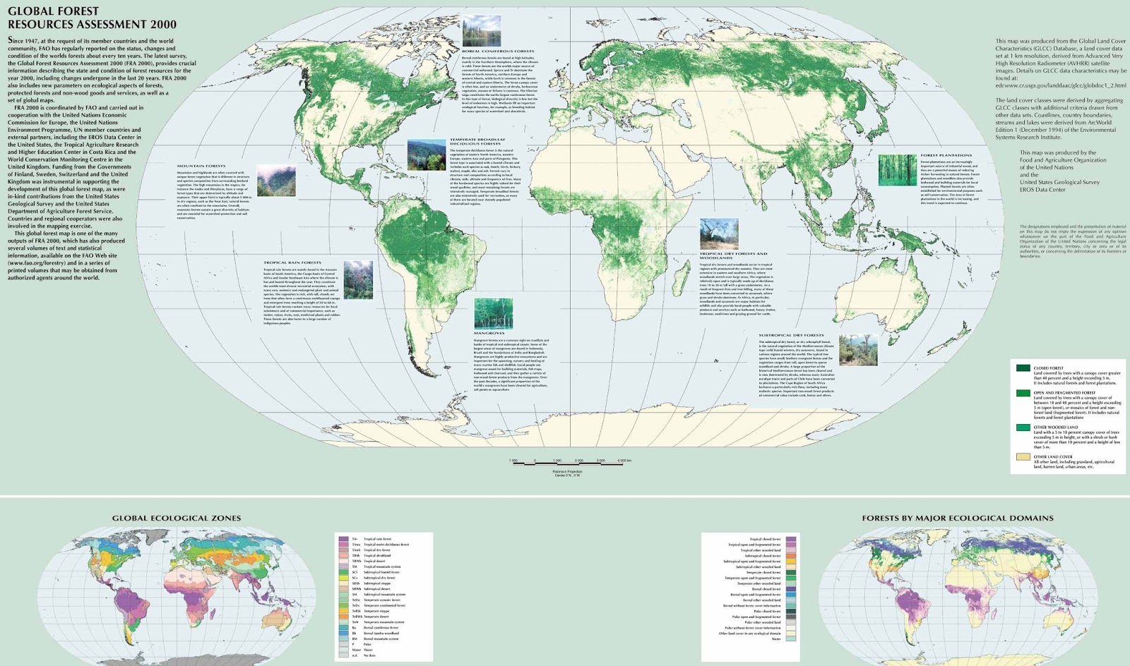 main forest areas in the world (3º ESO)
