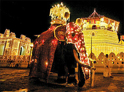 Travel To Sri Lanka: Kandy Esala Perahera