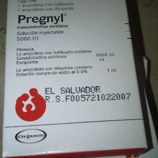 News, updates and information on the mexico steroid scene: Organon ...