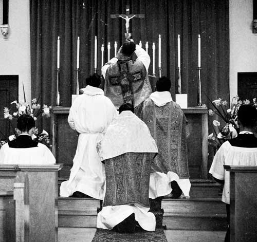 photopol: MORGAN COSTELLO