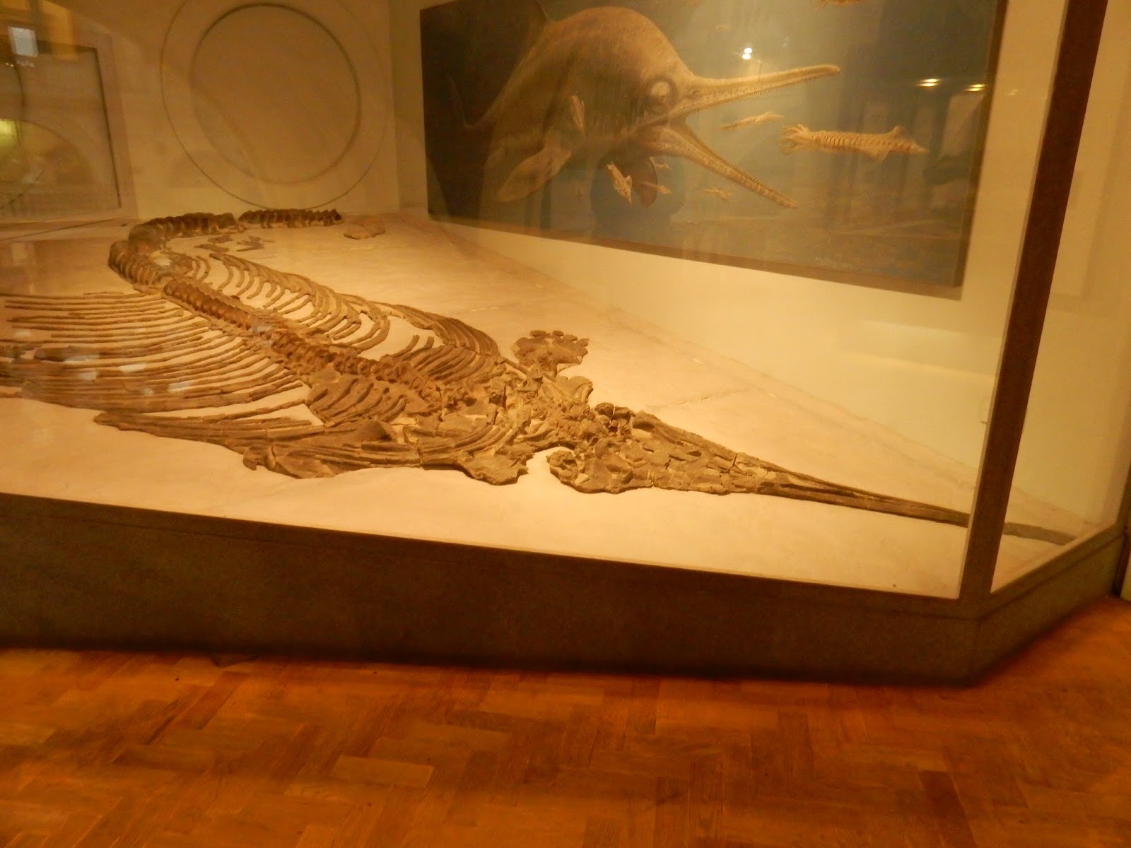 Raptormaniacs: Bristol Museum