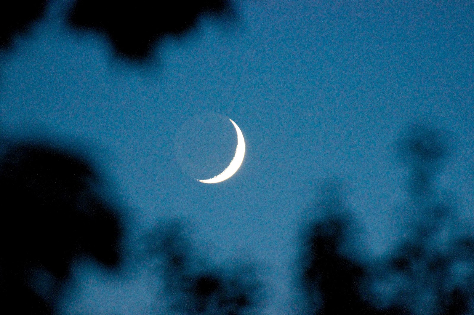 My Witt's End: Moon in June