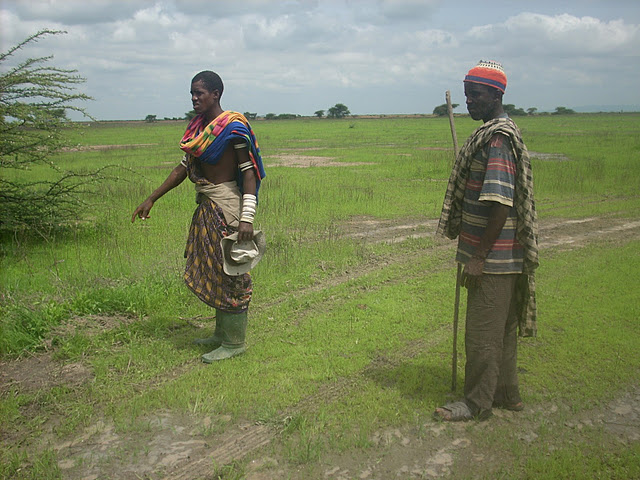 MWEKEZAJI WA KAPUNGA RICE PROJECT (KRP) MBARALI NI KERO KWA WANANCHI ...