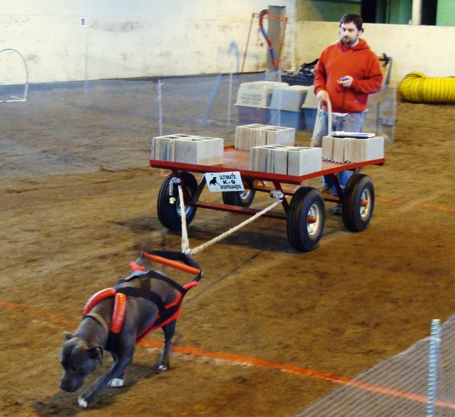 Poooh Busters Blog: Western Canada Weight Pulling