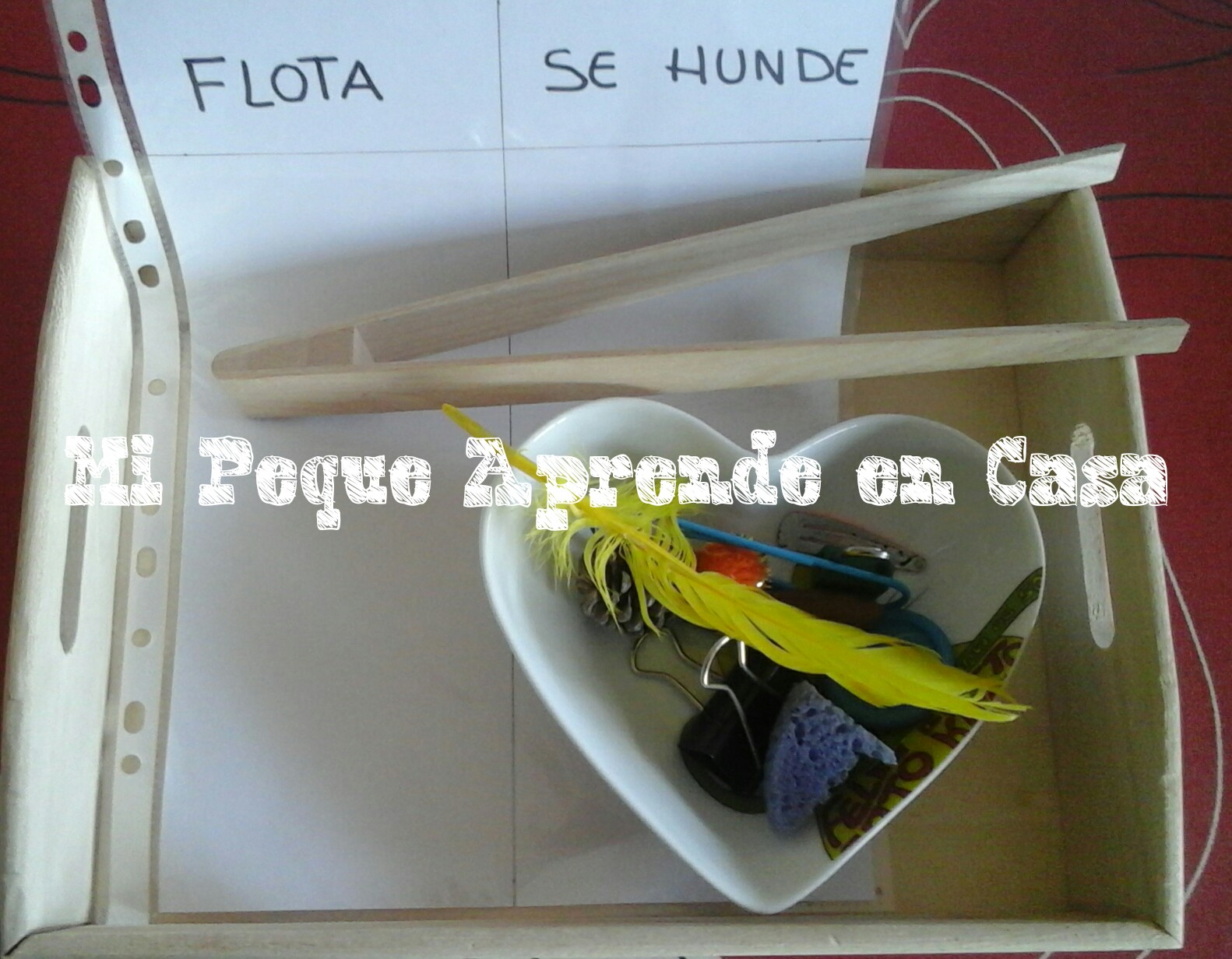 Mi Peque Aprende en Casa: Flota / Se Hunde