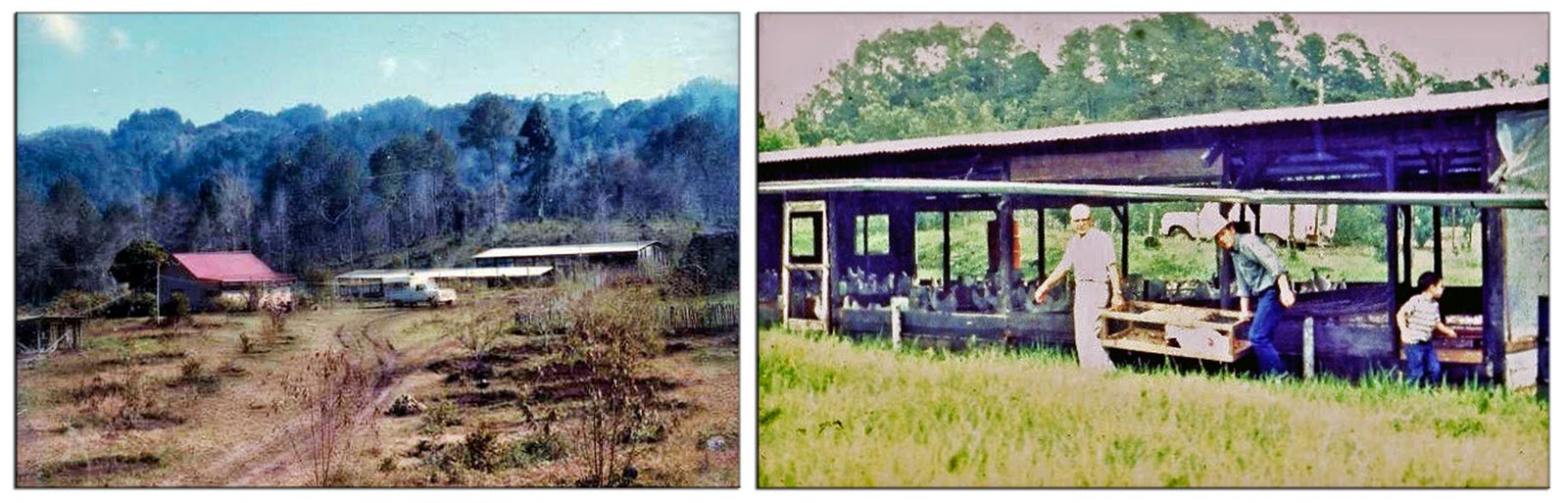 Guatemalan Foundation: How the Foundation Began