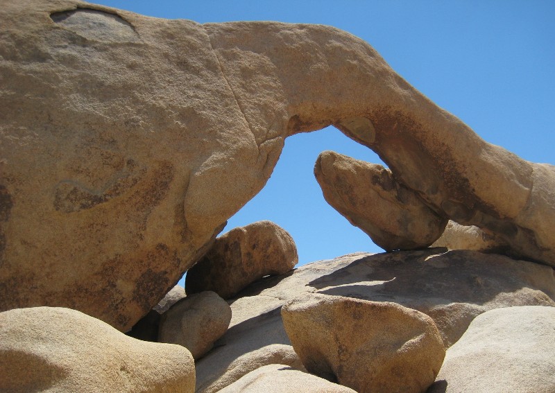 The Road Less Traveled: Joshua Tree, part 2