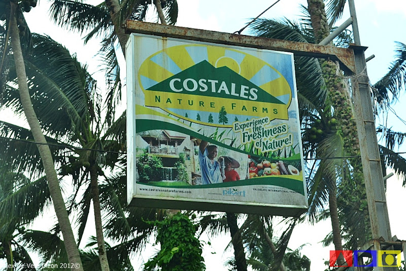 Rammmpa!: Nature and Me at Costales Nature Farms