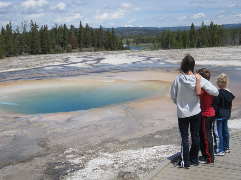 The Scallywagon: YOU SKIN GRIZ', PILGRIM? Yellowstone National Park