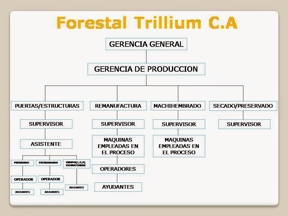 Seminario De Gerencia: Ponencia Estructura Divisional Seminario De Gerencia: Ponencia Estructura Divisional