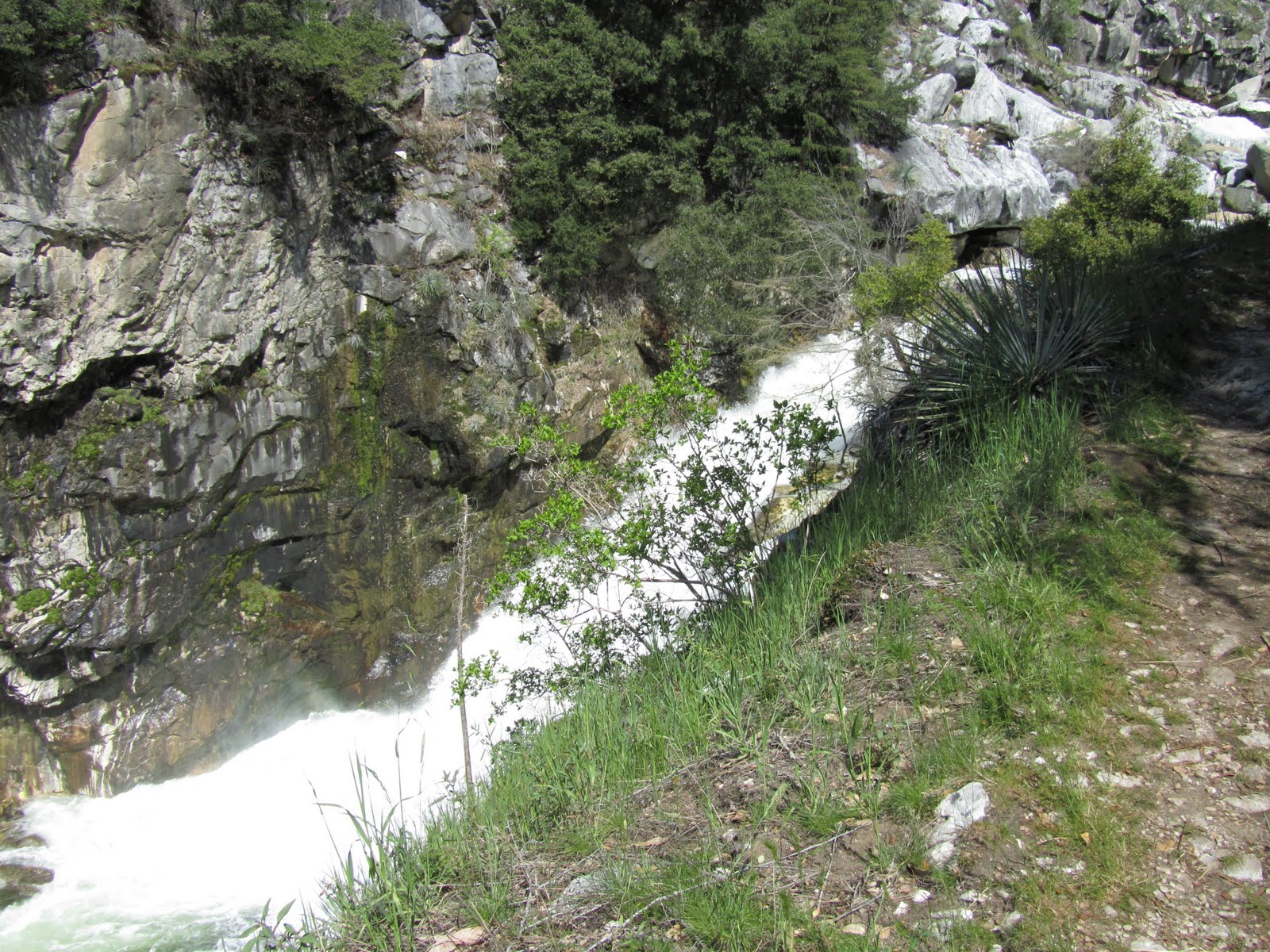 Alta Dawn: Marble Falls