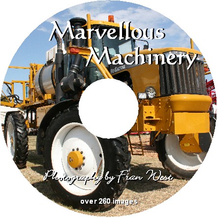 Digital's Great!: More DVDs